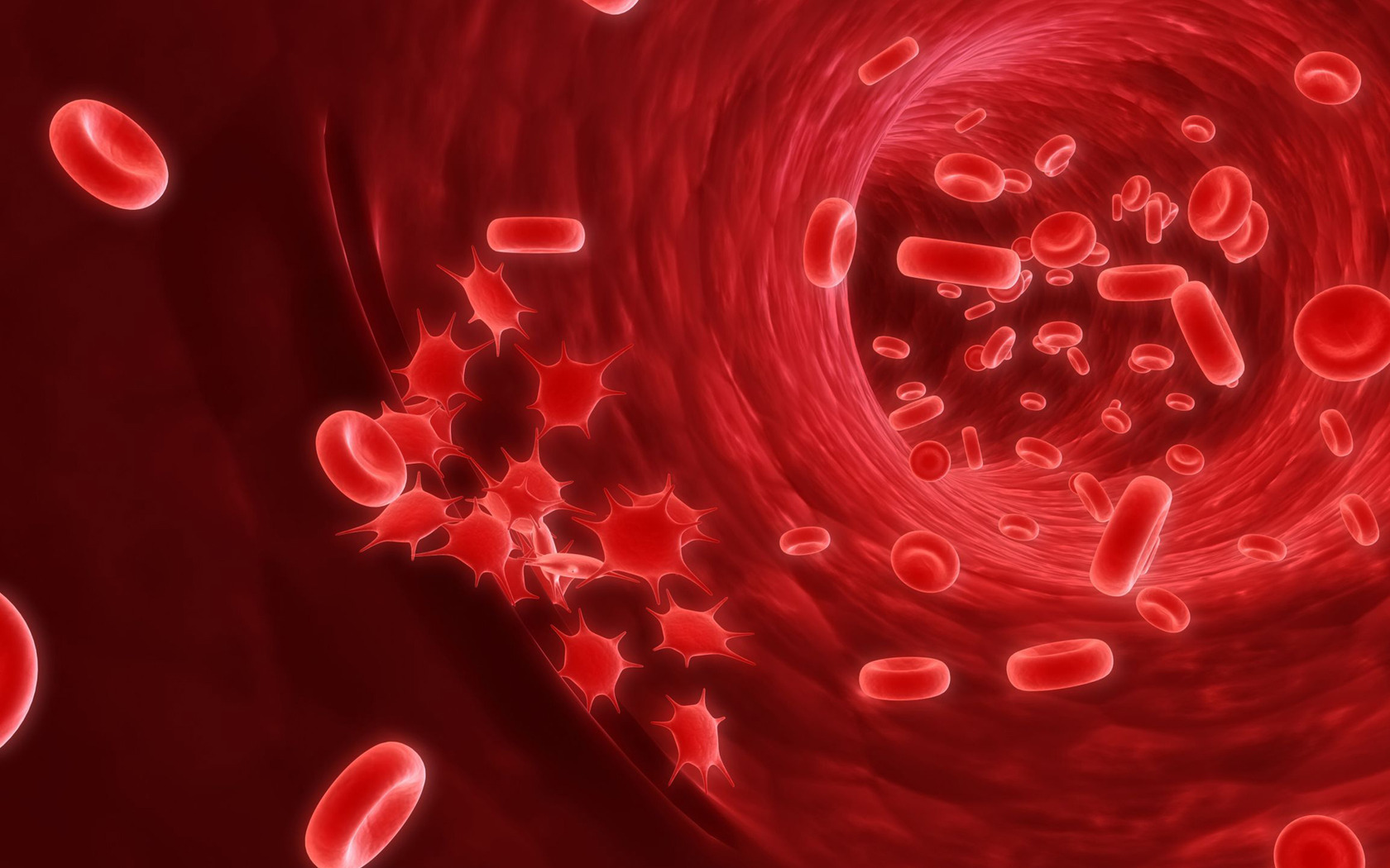 BEMER Blood Flow Therapy in Stamford,CT